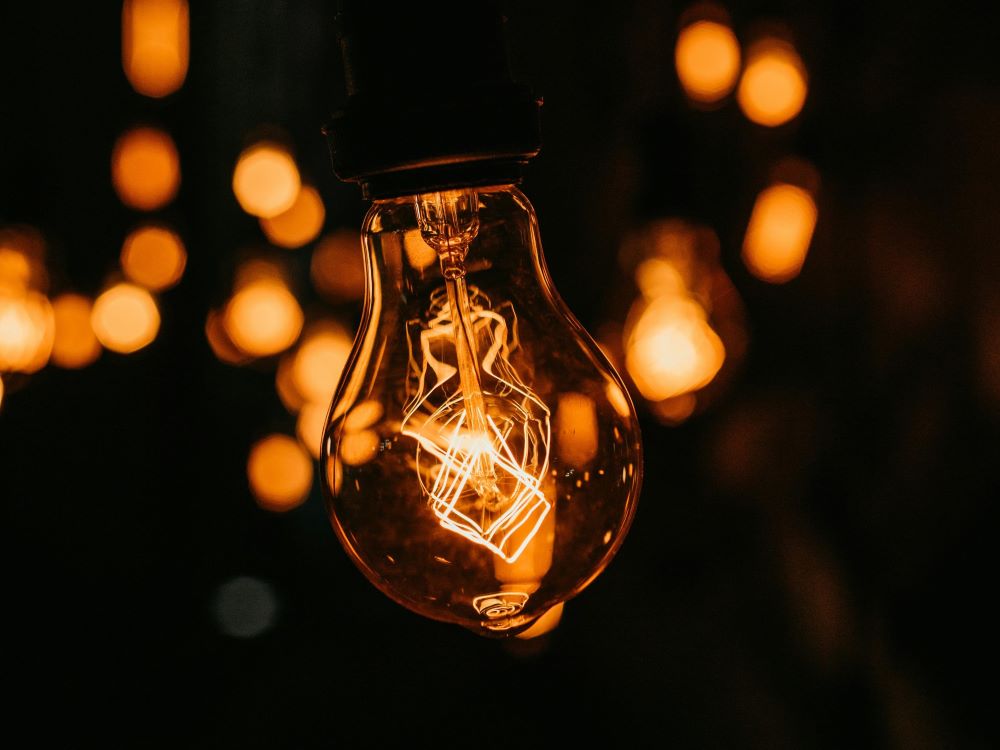 Was können Mitochondrien? – Lovelybelly